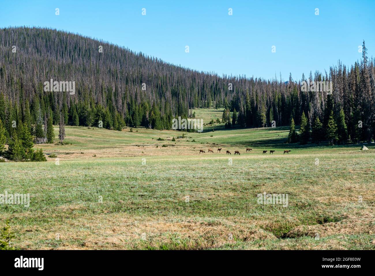 Deep in the backcountry of RMNP, near Grand Lake, Colorado Stock Photo ...