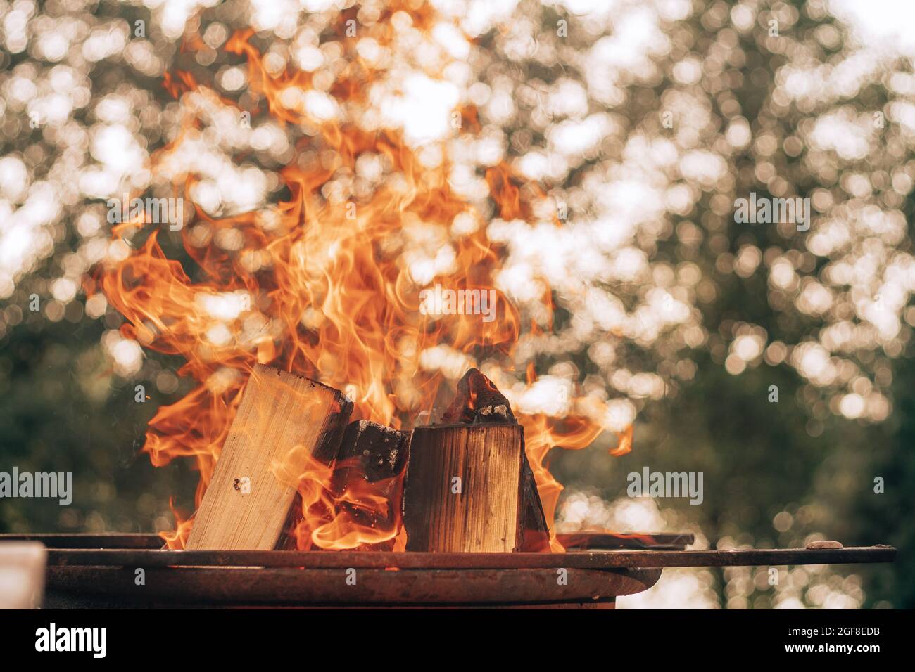 Charred wood and flames set against bokeh of tree branches and sunlight ...