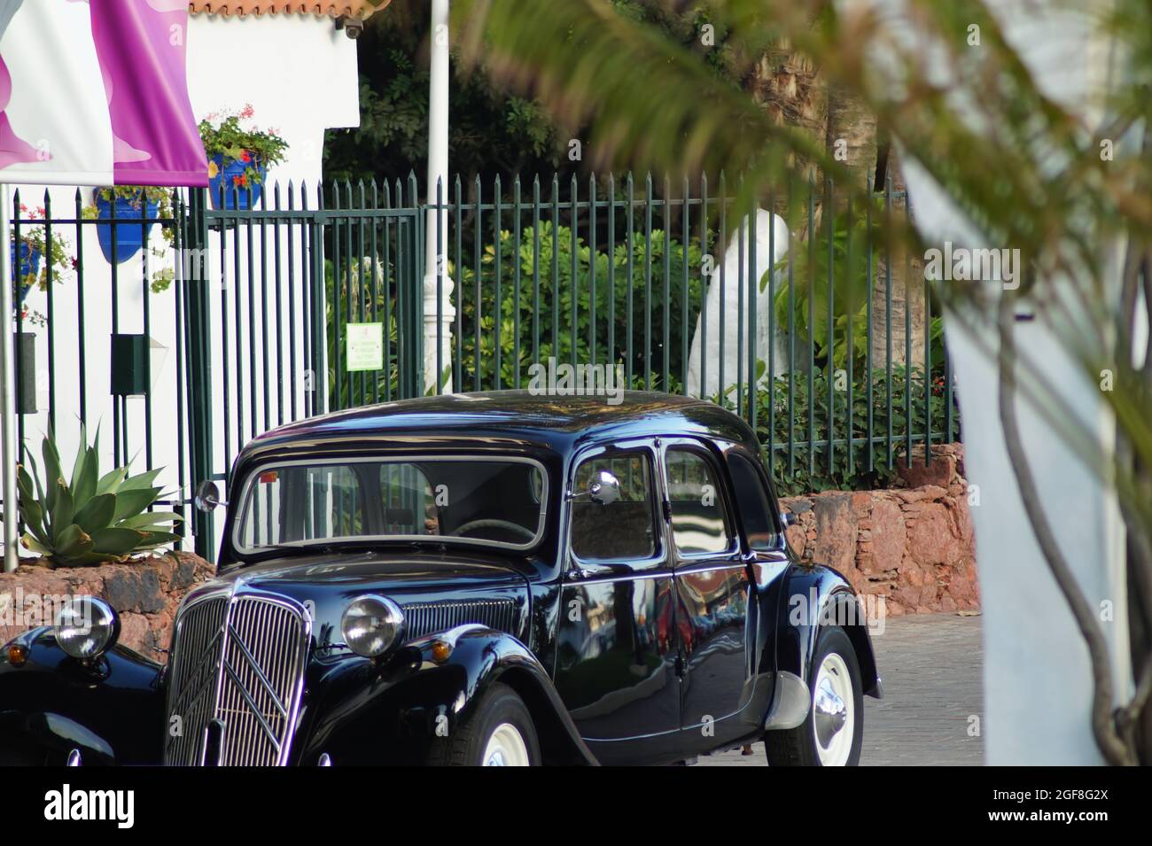 Canaray islands hi-res stock photography and images - Alamy