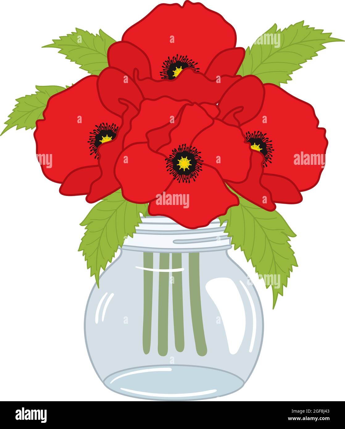 Beautiful Poppy Bouquet in Mason Glass Jar. Vector Poppy Bunch Stock ...