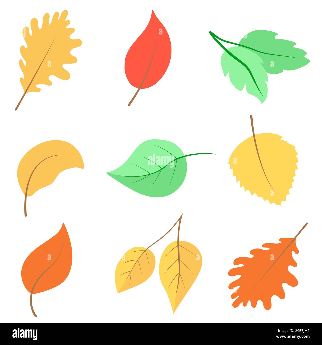 Set of autumn leaves vector illustration. Collection of hand drawn ...