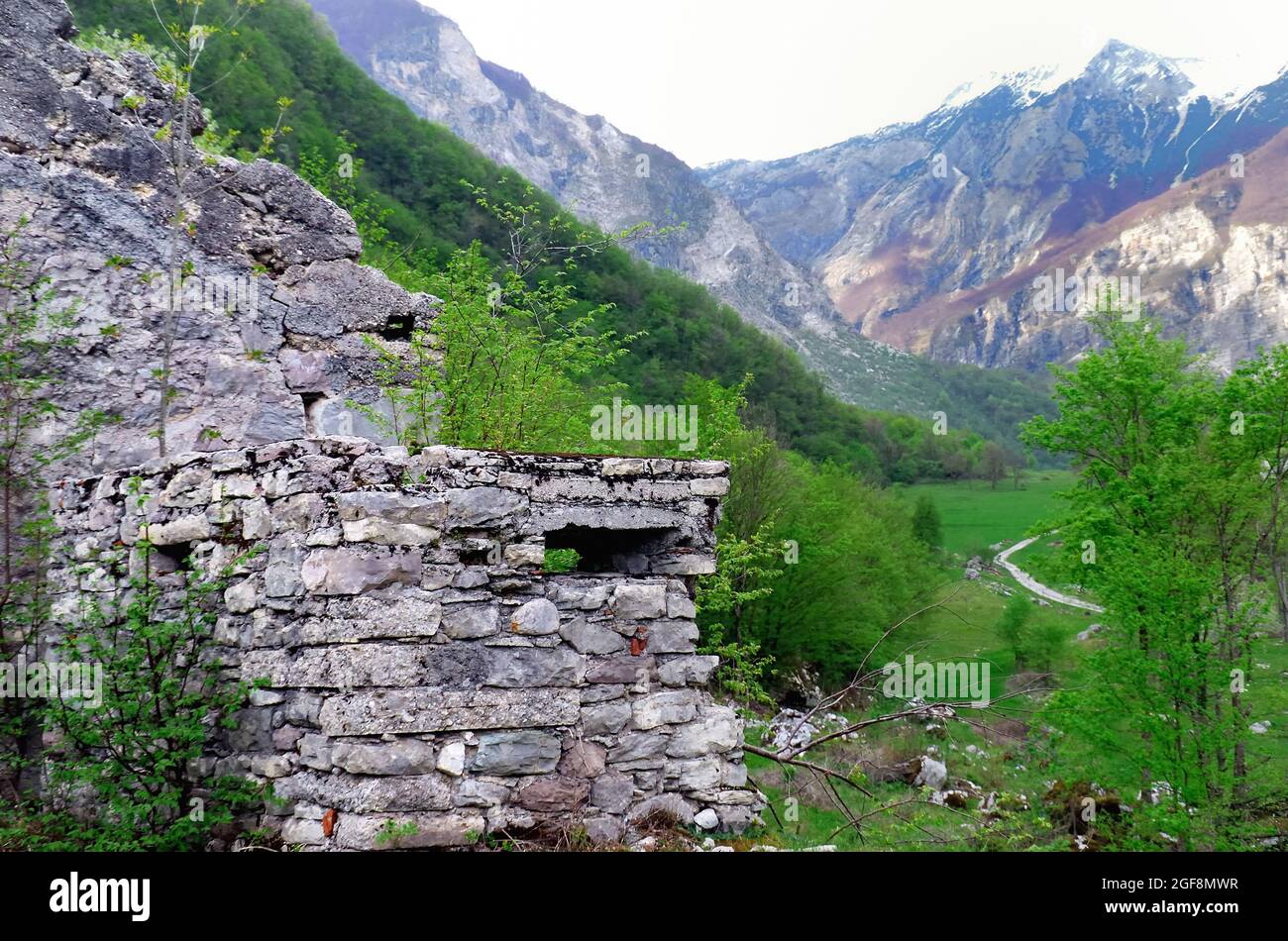 Austrian back lines hi-res stock photography and images - Alamy