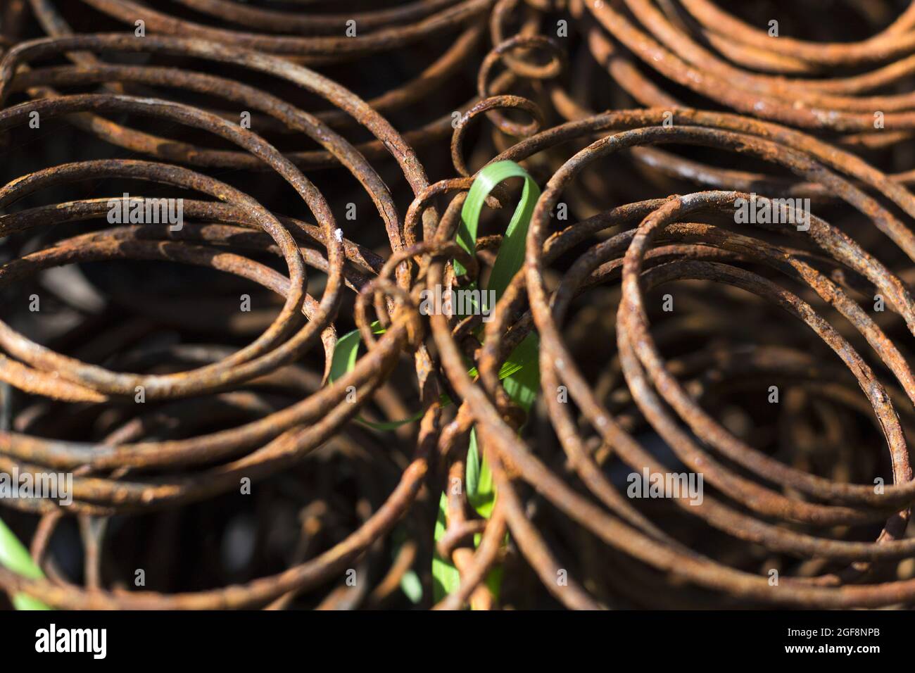 Wires scrap copper hi-res stock photography and images - Alamy