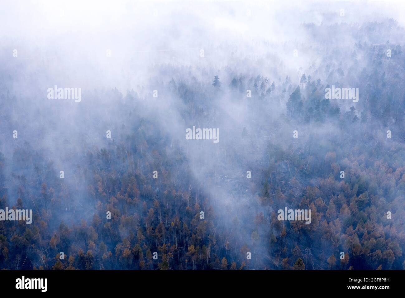 Burning peat fire hi-res stock photography and images - Alamy