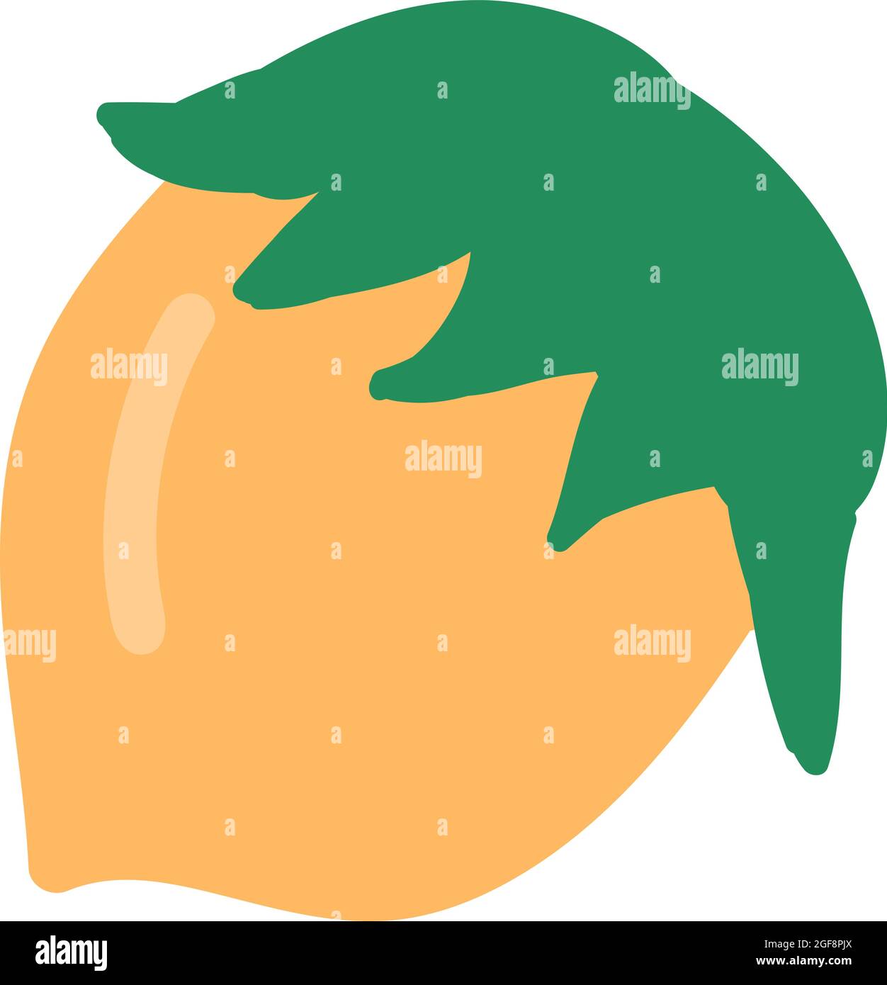 hazelnut doodle cartoon style vector element illustration Stock Vector ...