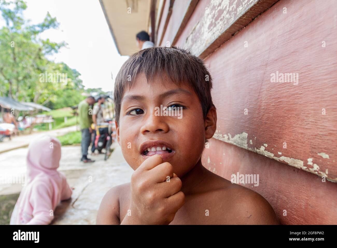 Amazonian rainforest napo hi-res stock photography and images - Alamy