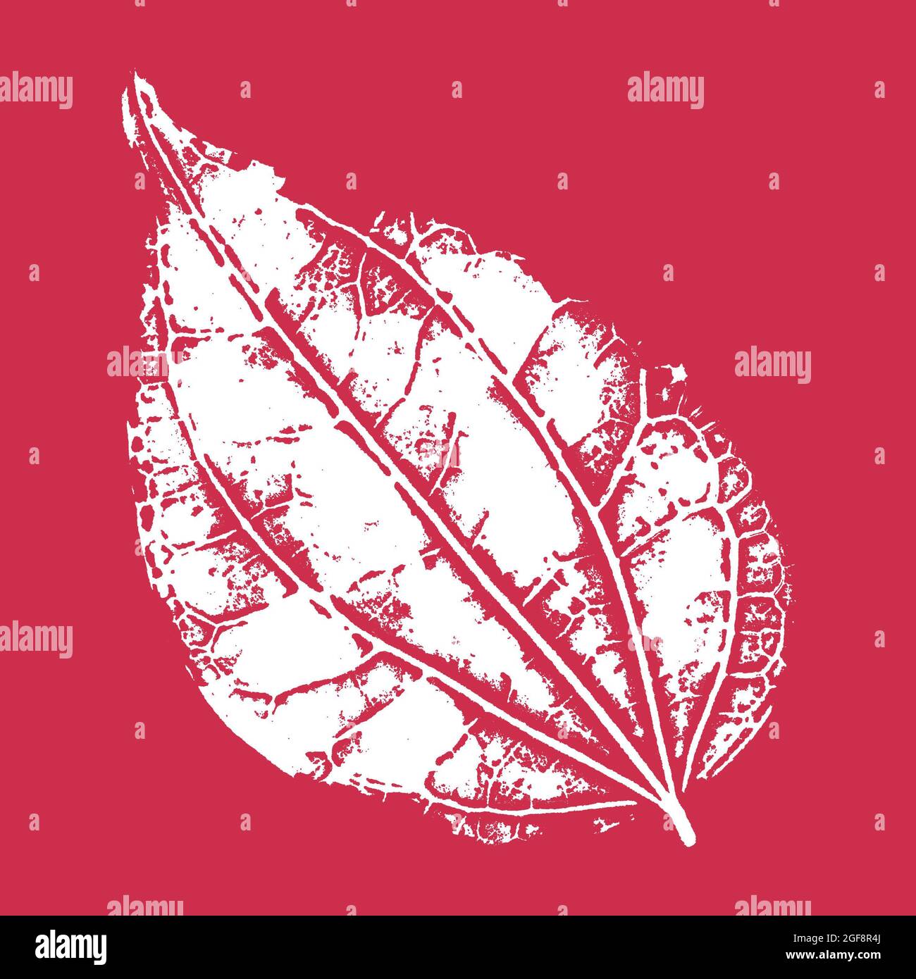 Original hand made leaf stamp, unique nature print Stock Photo - Alamy