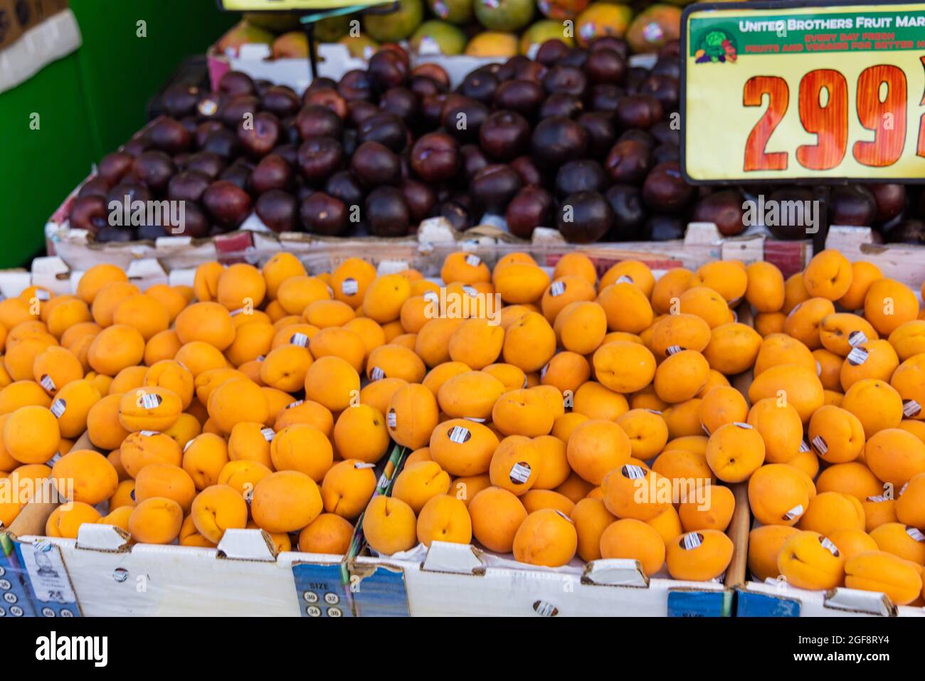 QUEENS, UNITED STATES - Jul 26, 2021: Fresh apricots sold at theAstoria ...