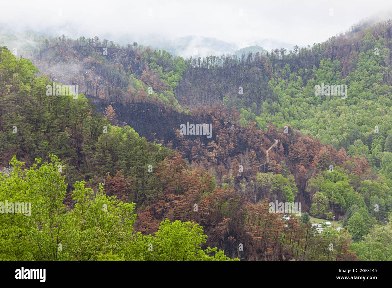 Cherokee Area in the Great Smoky Mountains National Park, NC Stock ...