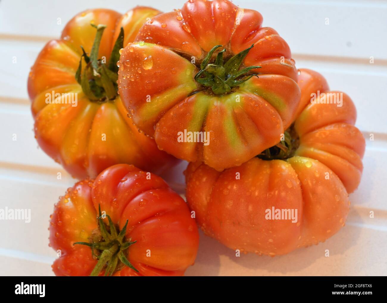 An array of homegrown Beefsteak Tomatoes Stock Photo - Alamy