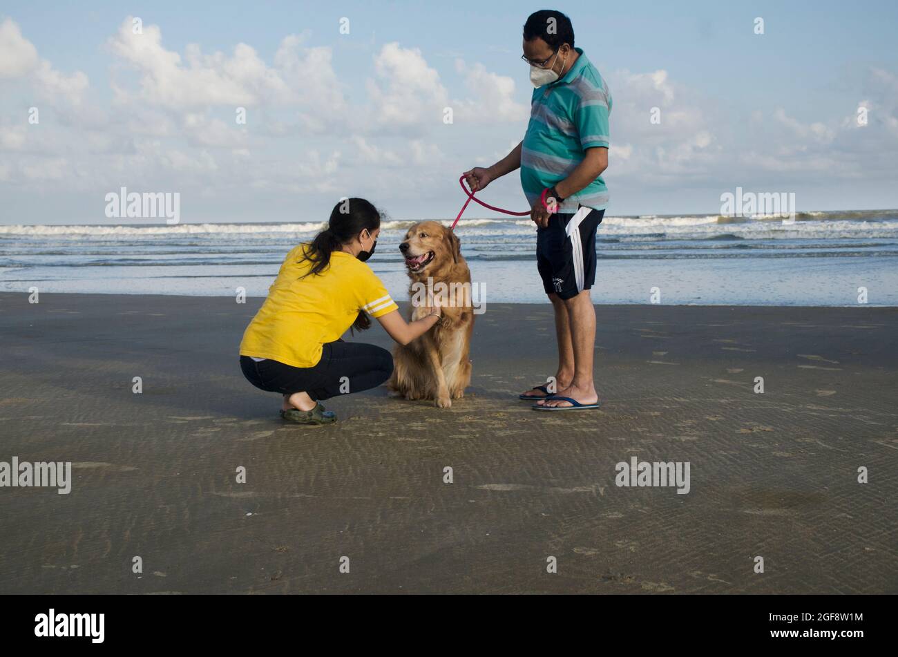 A pet with master Stock Photo - Alamy