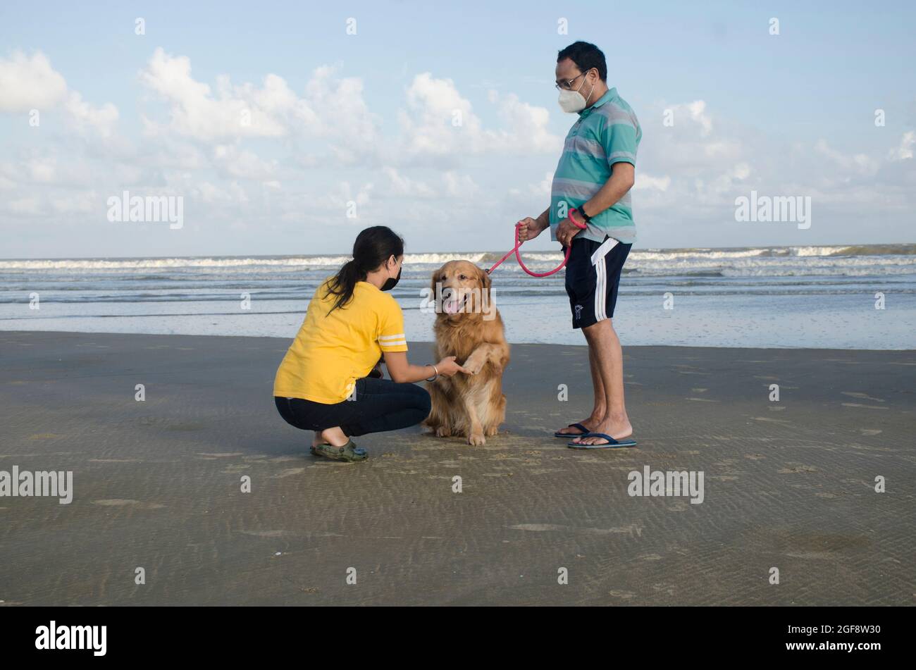 A pet with master Stock Photo - Alamy