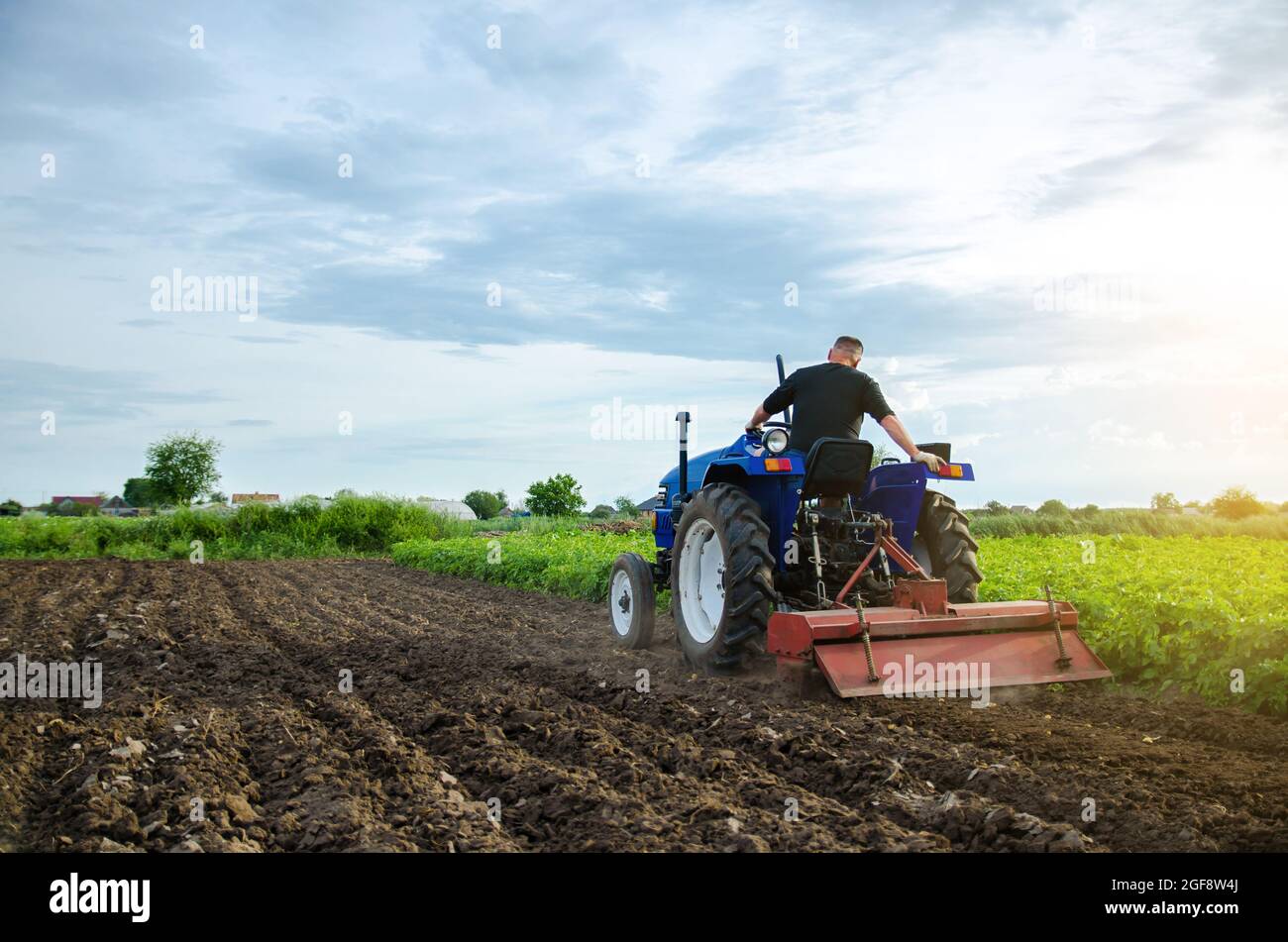 A farmer on a tractor grinds the soil before planting a new crop. Work ...