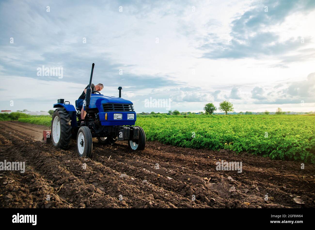 A farmer is cultivating a farm field. Seasonal worker. Recruiting ...