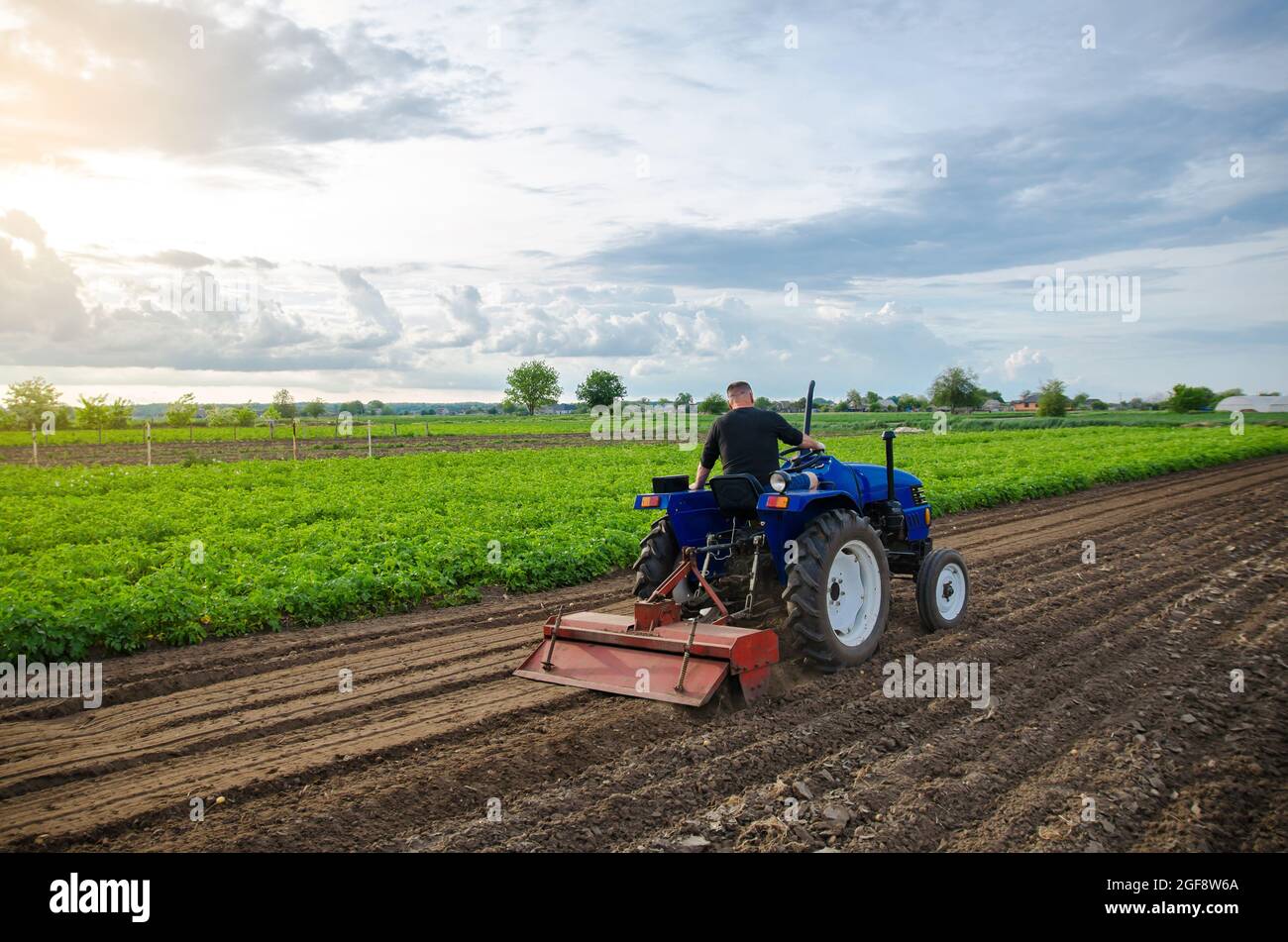 A man farmer works in a farm field. Cultivating the soil before ...