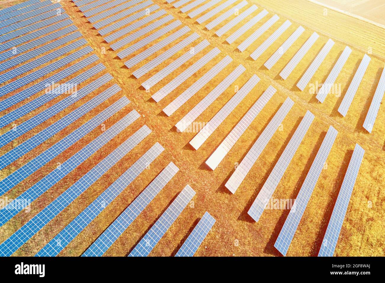 Row of solar panels in the field. Solar battery farm, aerial view ...