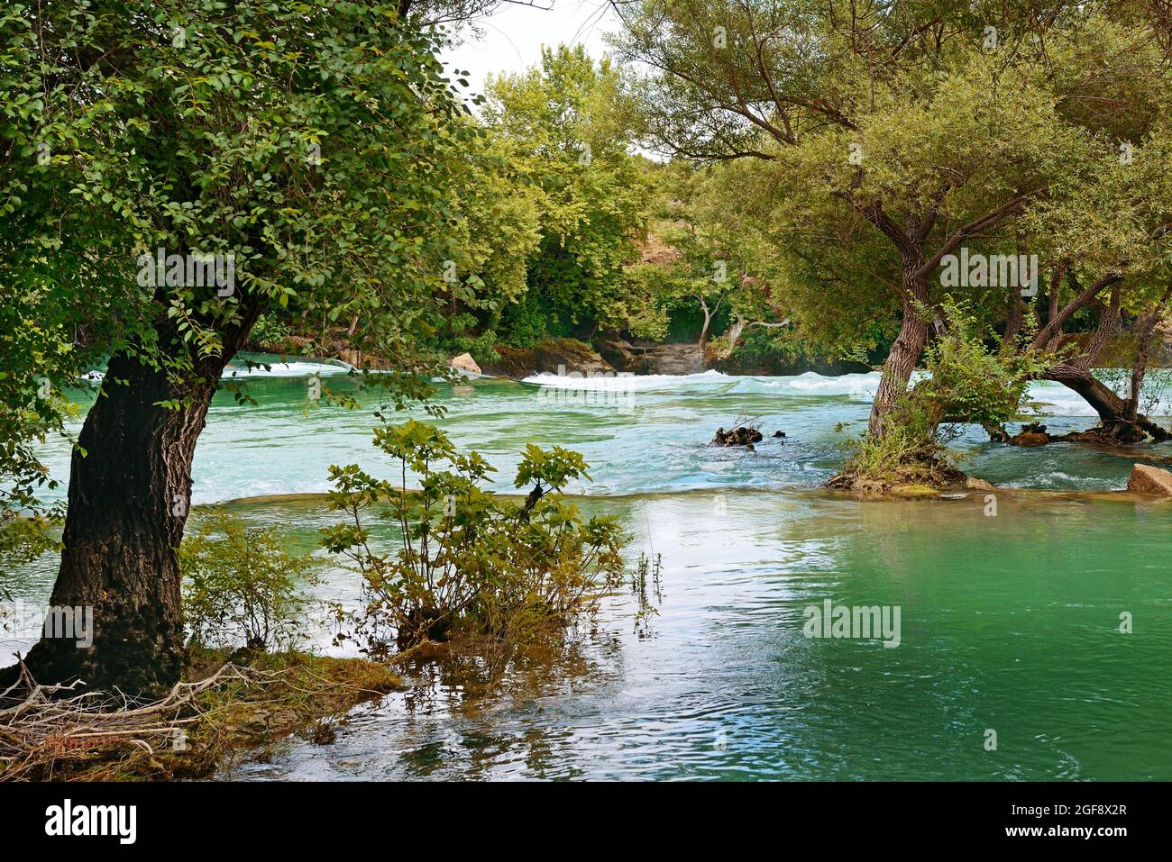 Riverbank forest environment hi-res stock photography and images - Alamy