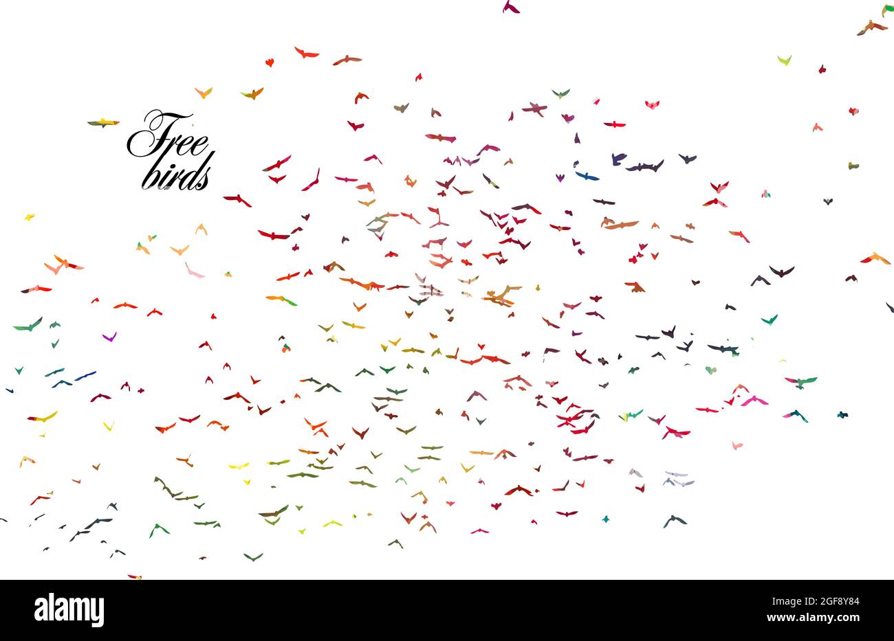 A flock of colorful birds. Vector illustration Stock Vector Image & Art ...
