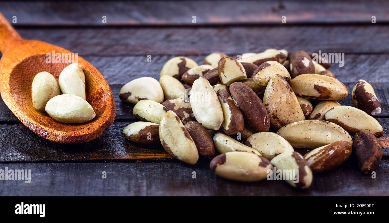 wooden spoon with many brazil nuts, us amazonian used in world cuisine ...