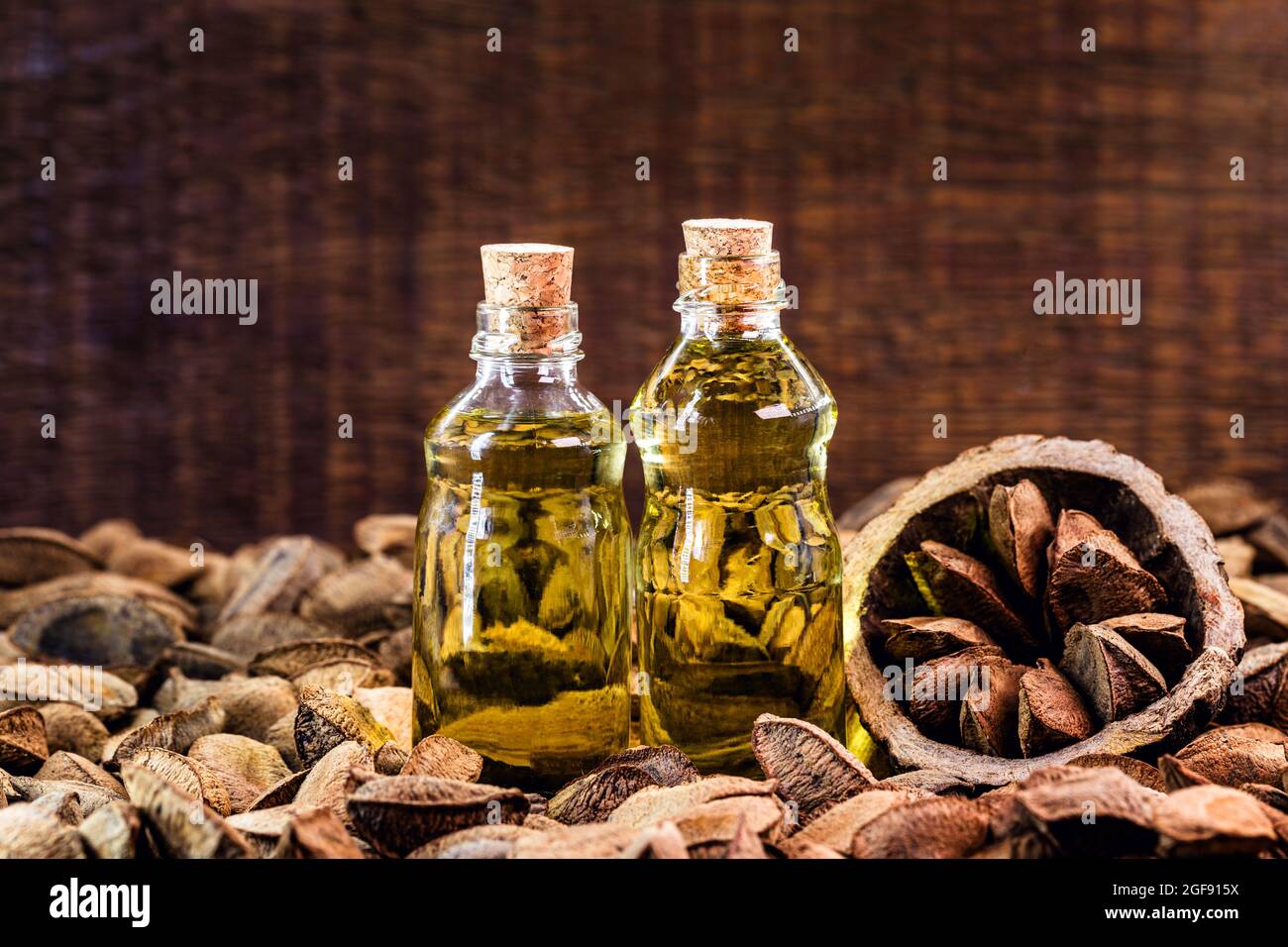 Brazil nut oil, originally from the Amazon, Brazilian almond Stock ...