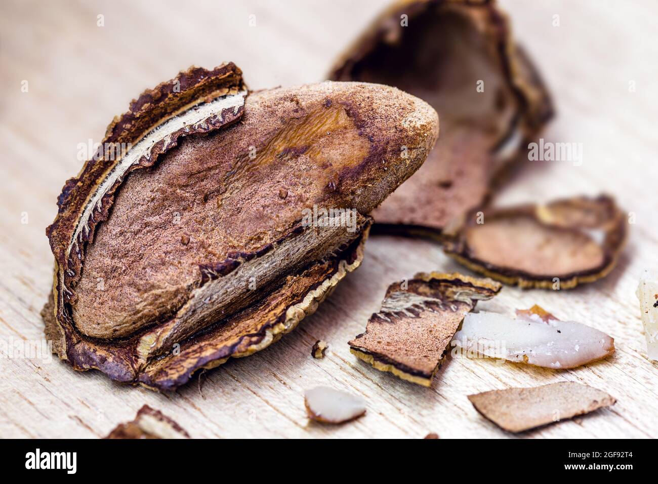 Brazilian chestnuts, called Brazil nuts, broken and without shells ...