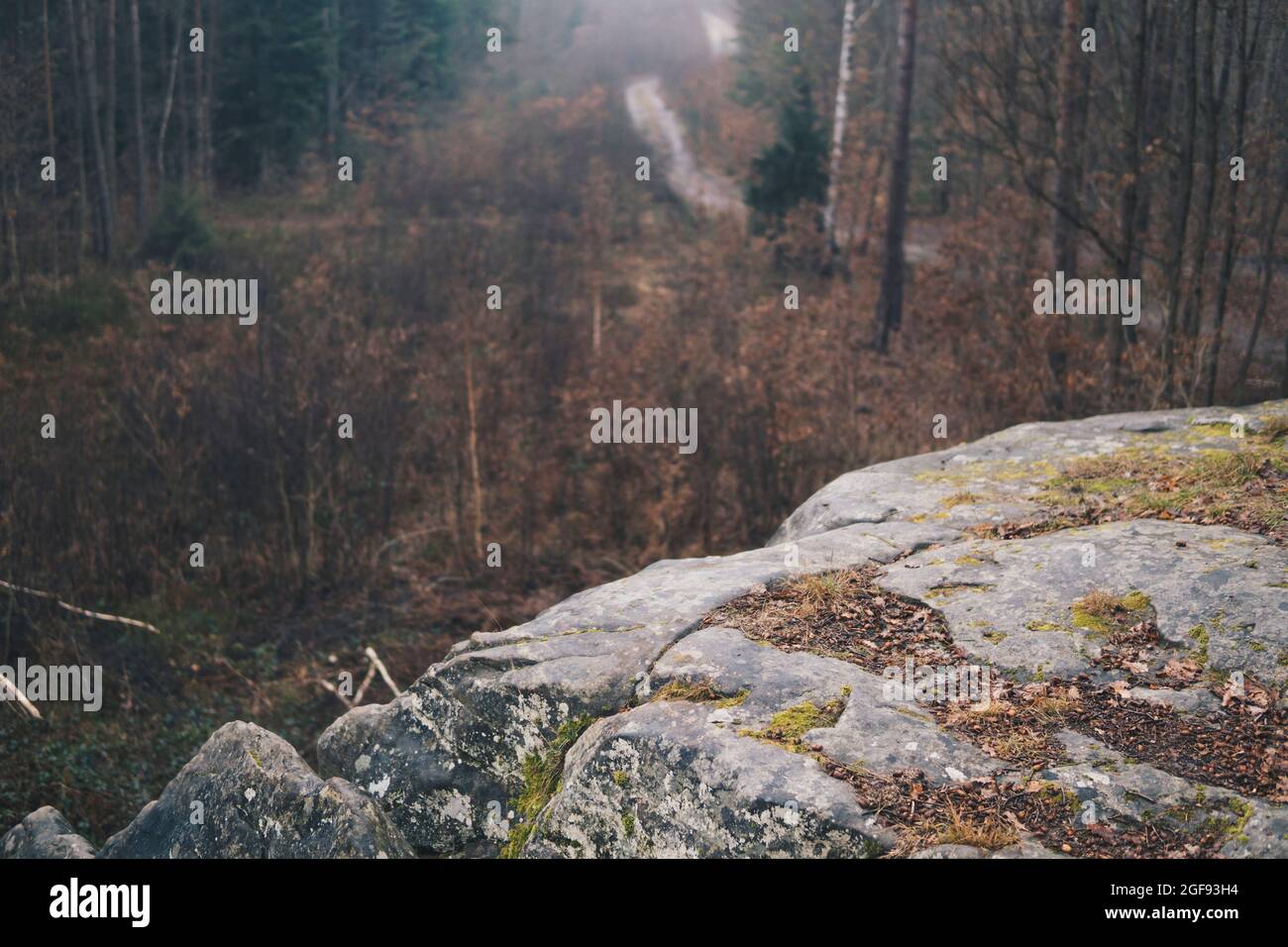 landscape with a view from a hill on a forest during fall season Stock ...