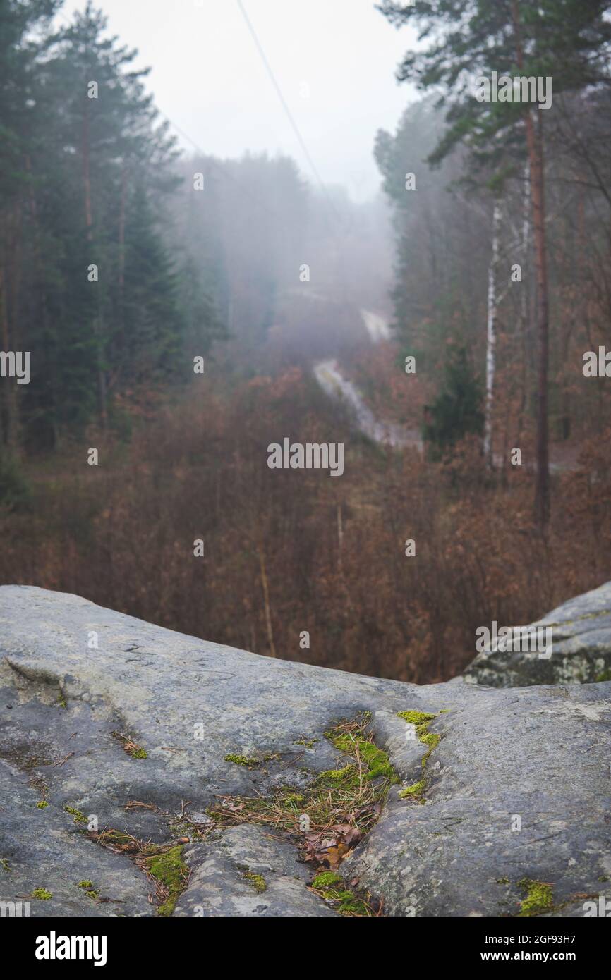 landscape with a view from a hill on a forest during fall season Stock ...