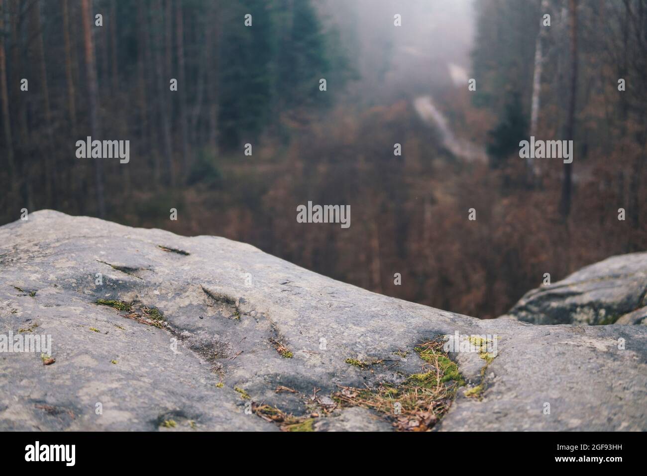 landscape with a view from a hill on a forest during fall season Stock ...