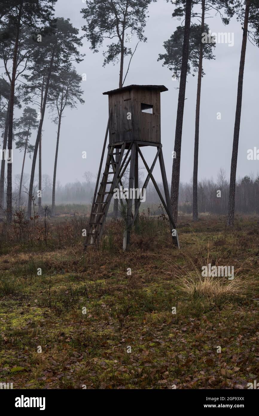 hunting pulpit inside of a forest during foggy day in autumn season in ...