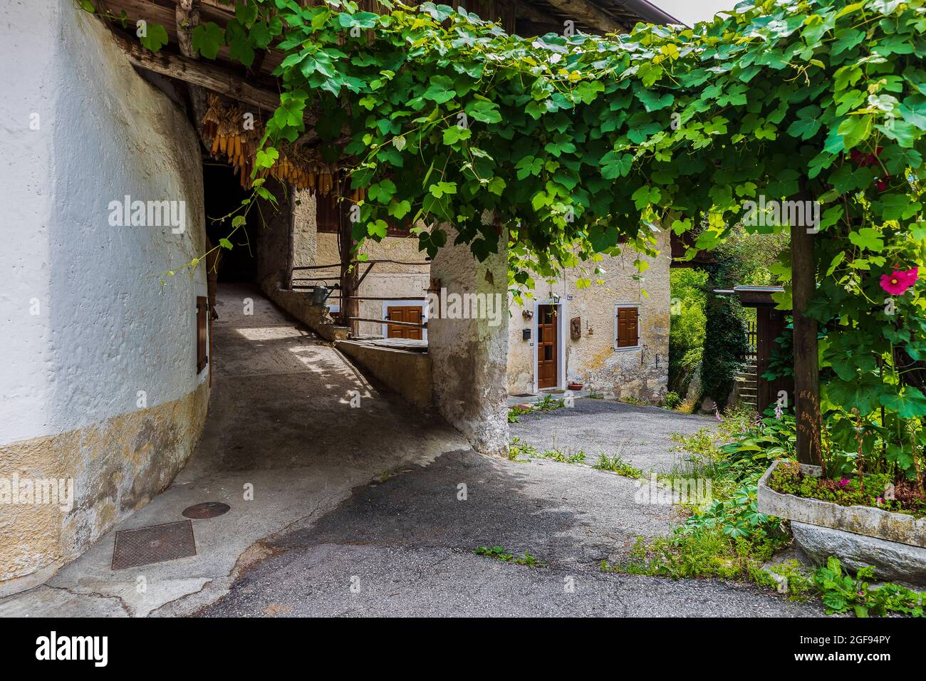 Italy Trentino Rango Stock Photo - Alamy