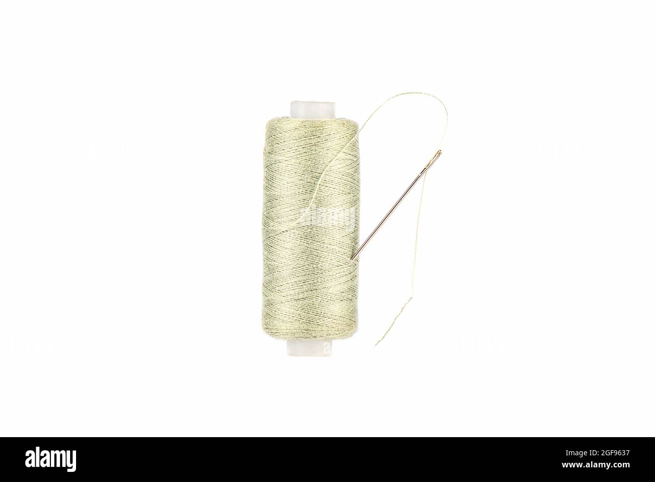 The needle is inserted into a spool of Ivory thread on a white ...