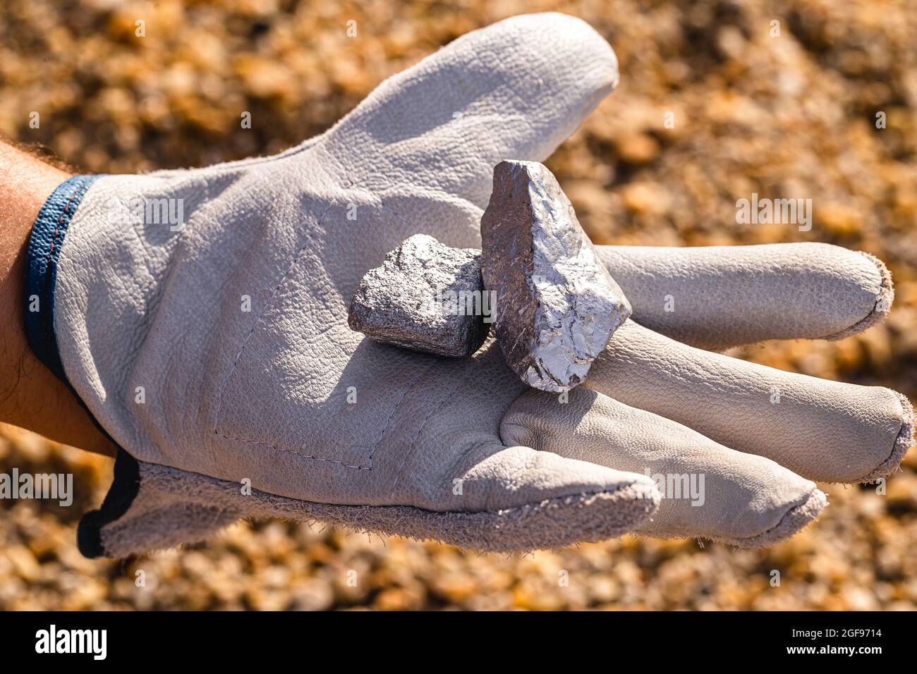 hand holding silver stones, silver ore. Gemstone mining concept Stock ...