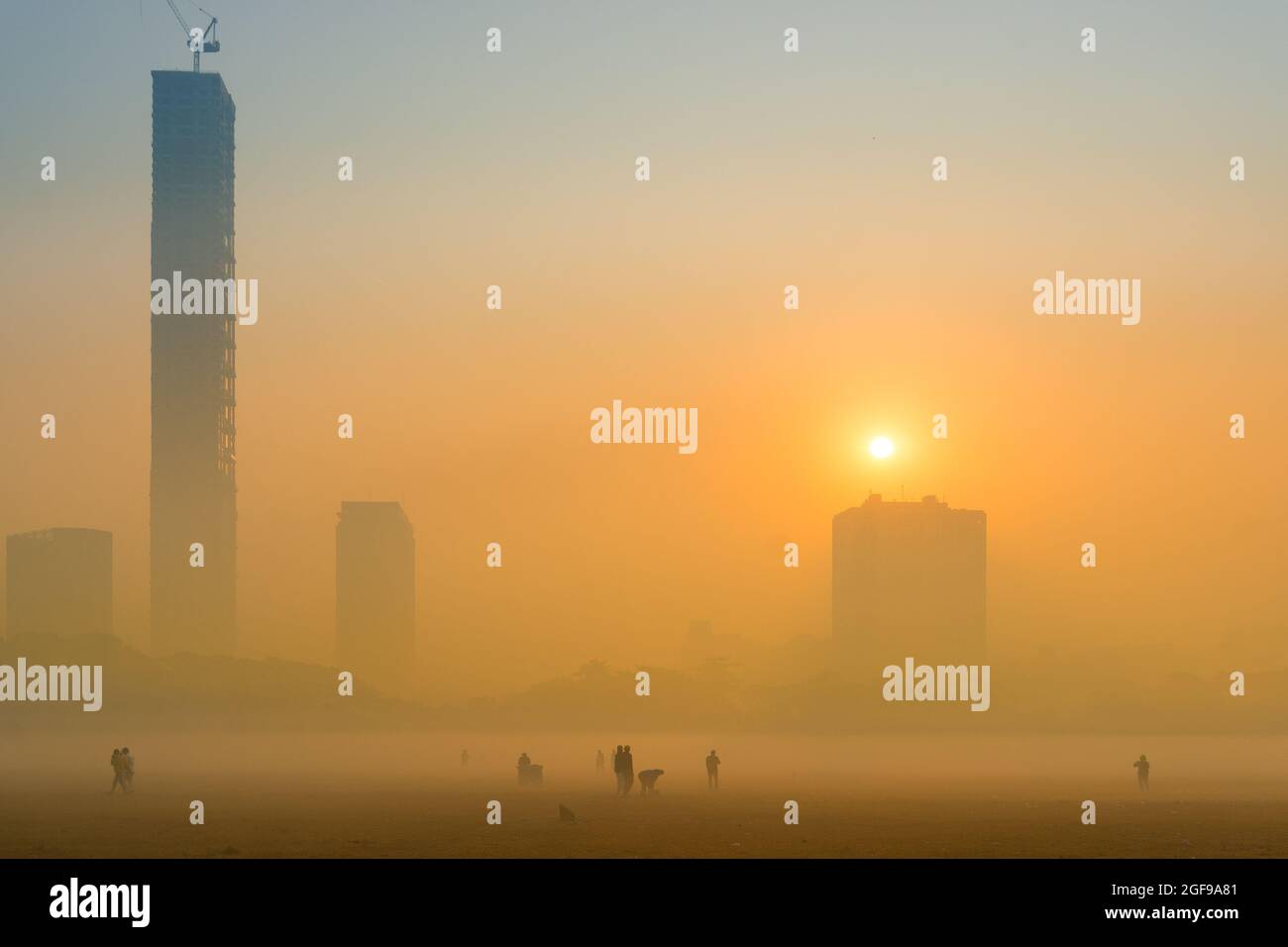 Beautiful image of sunrise at Kolkata maidan in a foggy winter morning ...
