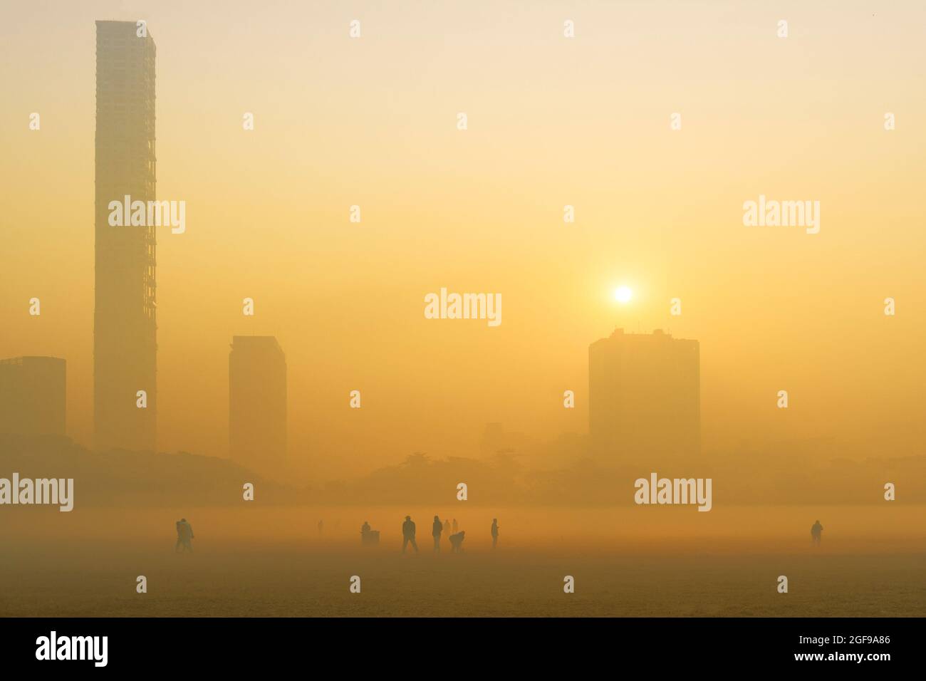 Beautiful image of sunrise at Kolkata maidan in a foggy winter morning ...