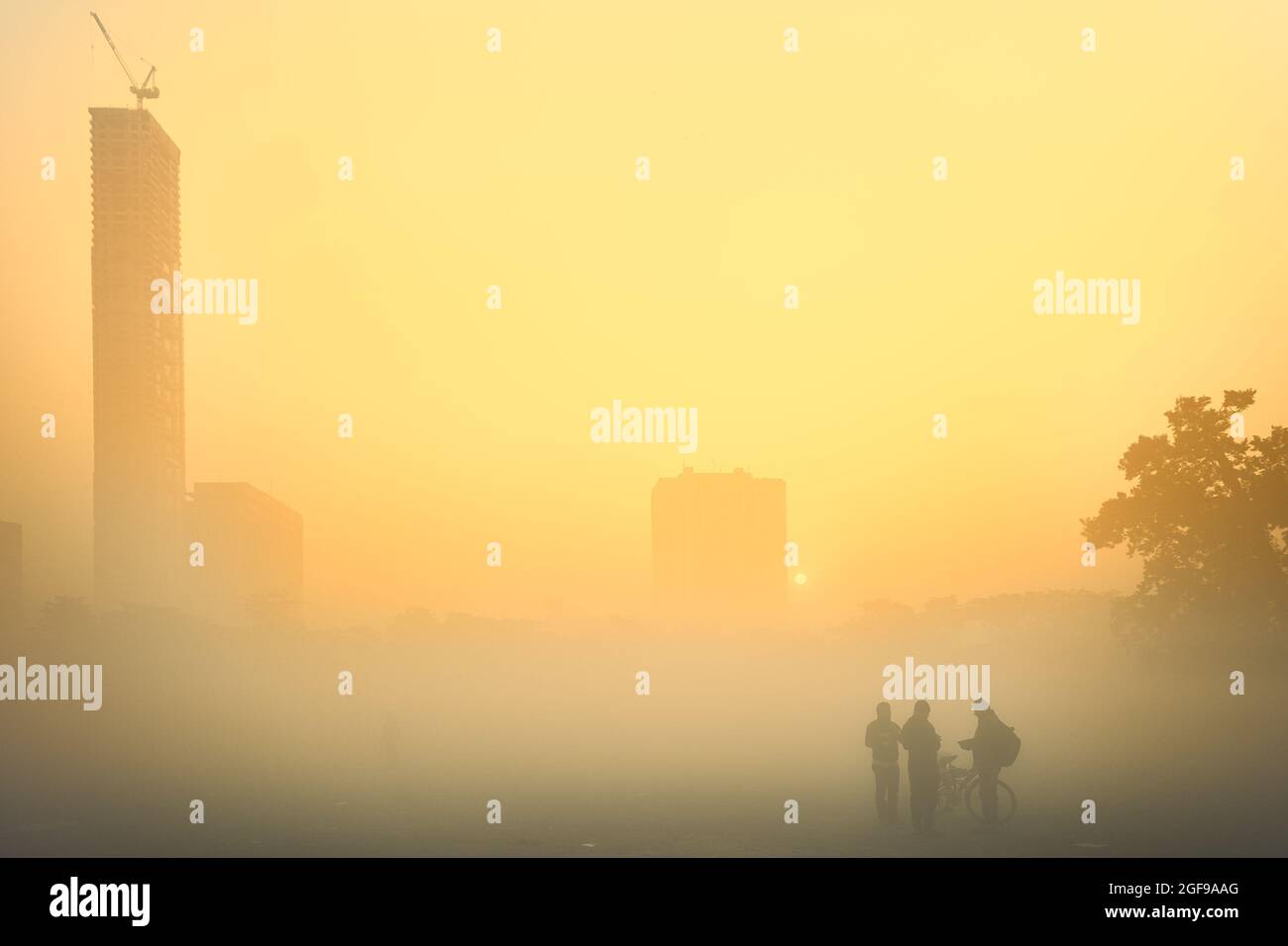 Beautiful image of sunrise at Kolkata maidan in a foggy winter morning ...