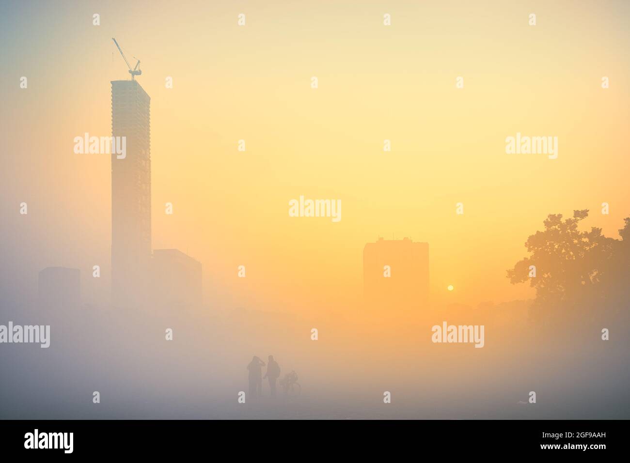 Sunrise at Kolkata maidan in a foggy winter morning. Sunrises at the ...