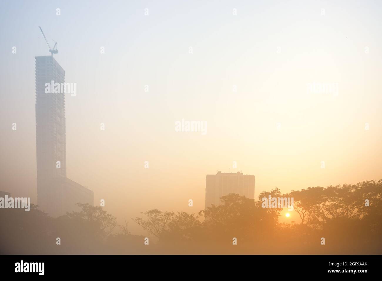Beautiful image of sunrise at Kolkata maidan in a foggy winter morning ...