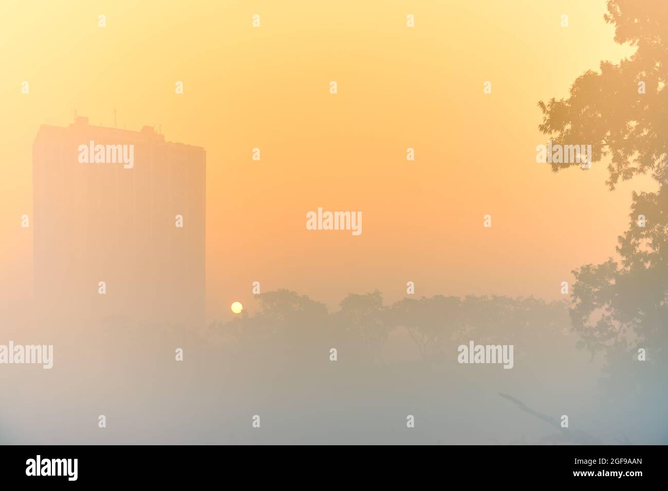 Beautiful image of sunrise at Kolkata maidan in a foggy winter morning ...