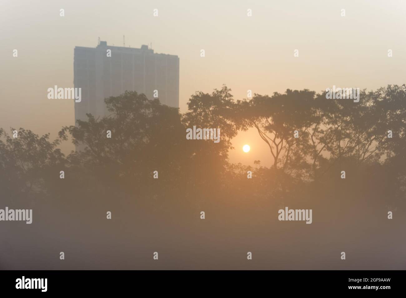 Nice image of sunrise at Kolkata maidan in a foggy winter morning ...