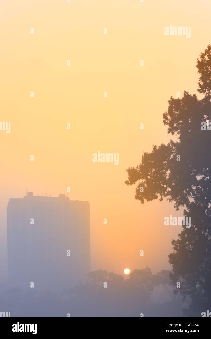 Beautiful image of sunrise at Kolkata maidan in a foggy winter morning ...