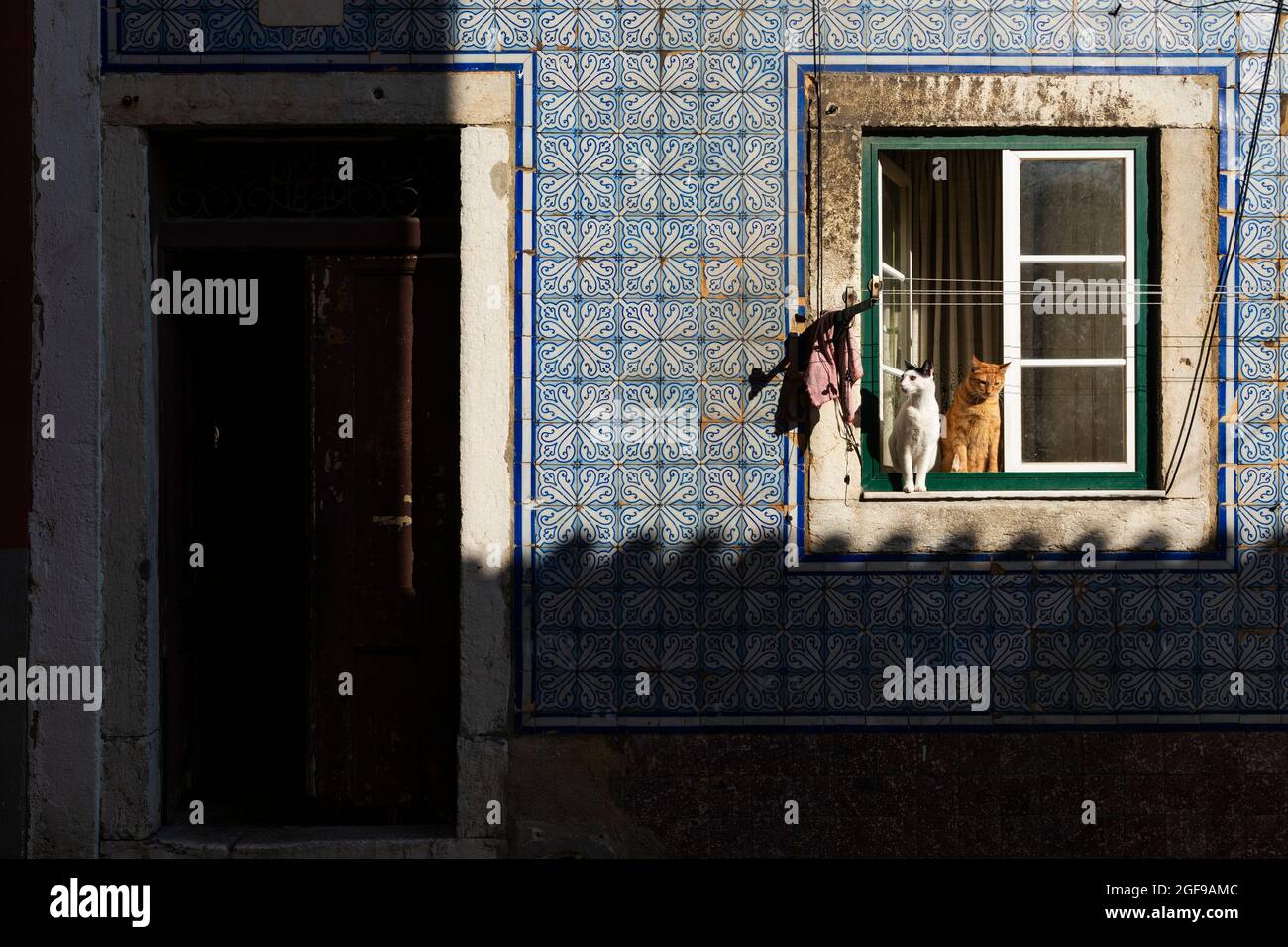 Two cats in a window at the traditional Bica neighbourhood of Bica, in ...