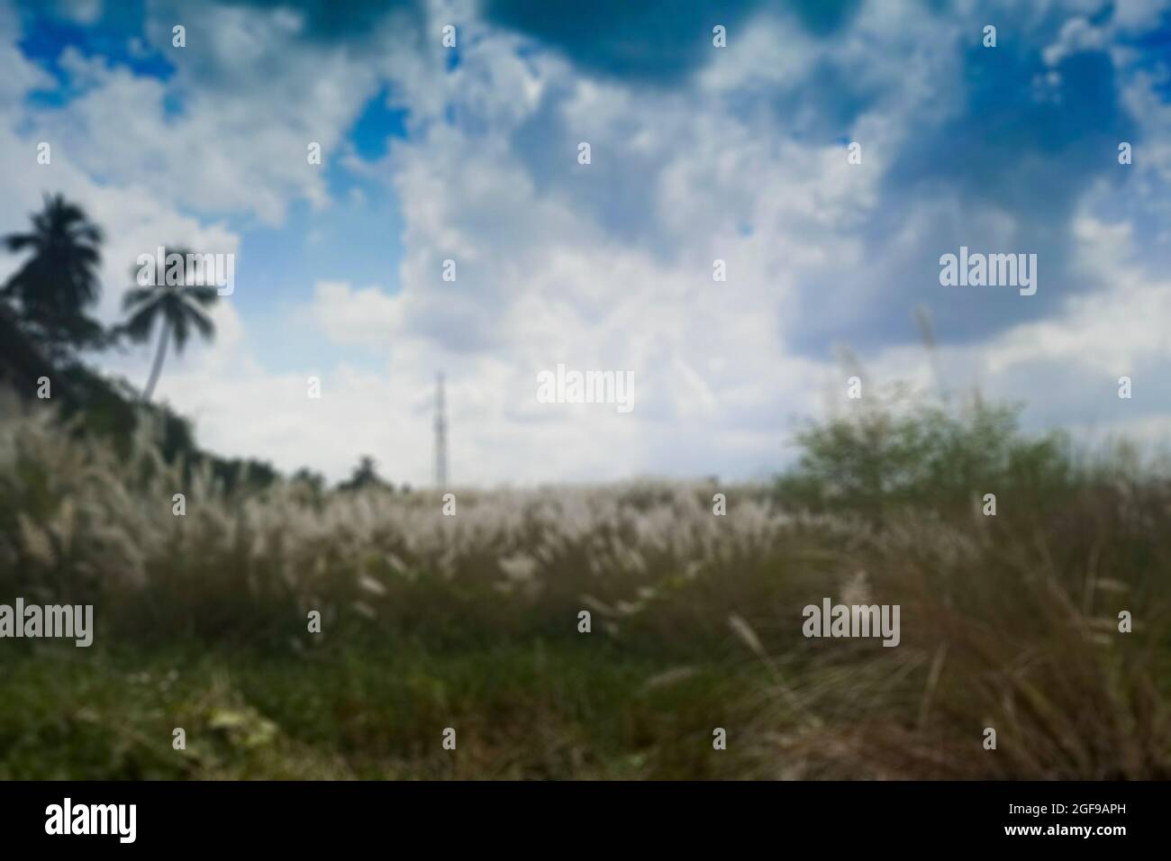 Sky With Kashful High Resolution Stock Photography and Images - Alamy