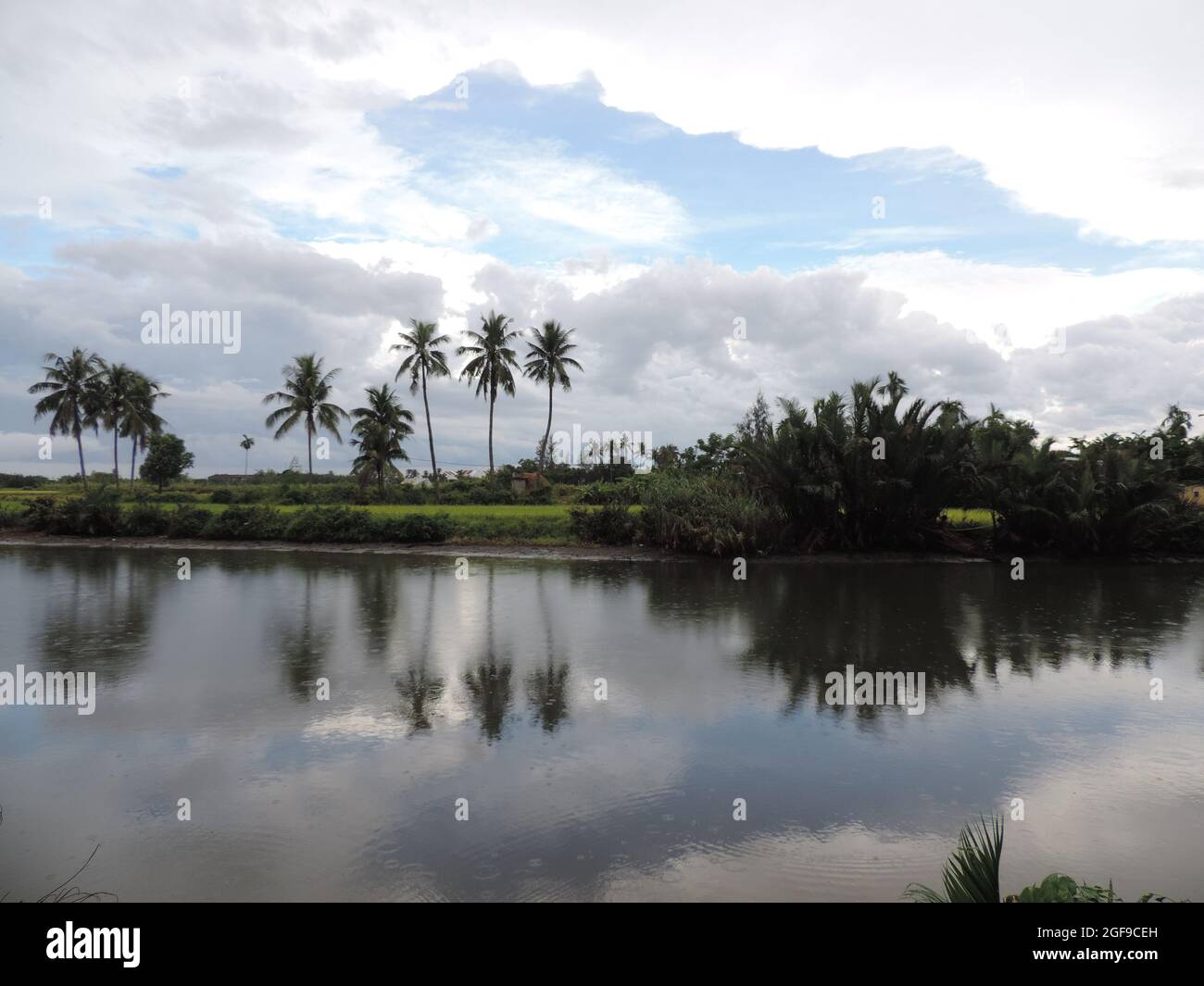 Vietnam rural landscape palm tree hi-res stock photography and images ...