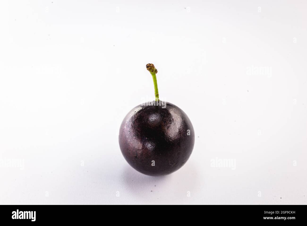 Fruit of jabuticaba isolated with white background. Jabuticaba is a ...