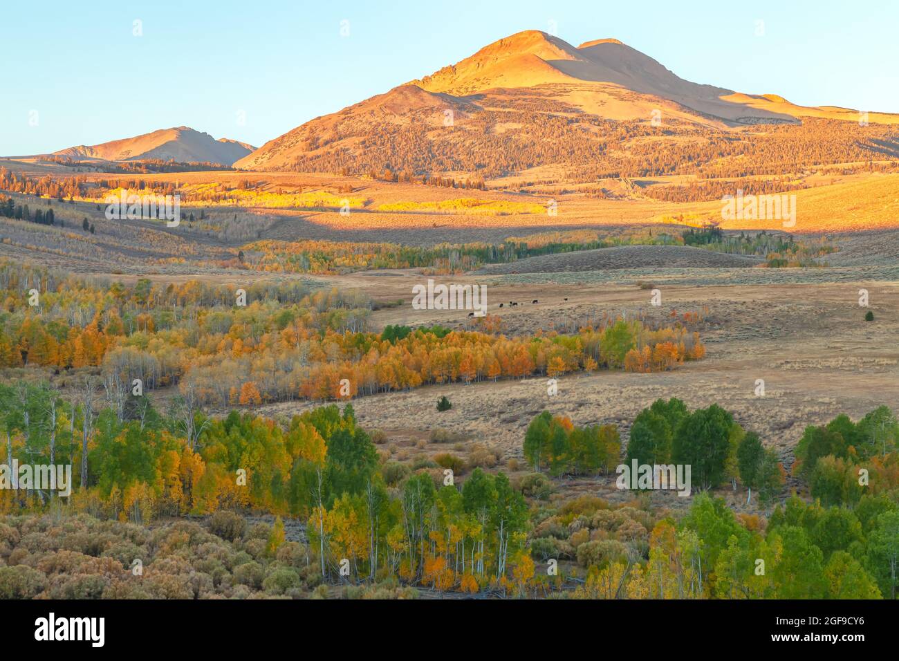 Conway Summit at early fall, Highway 395, Eastern Sierra Nevada ...
