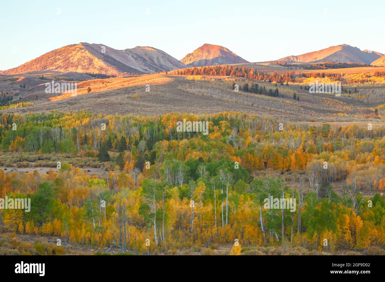 Conway Summit at early fall, Highway 395, Eastern Sierra Nevada ...