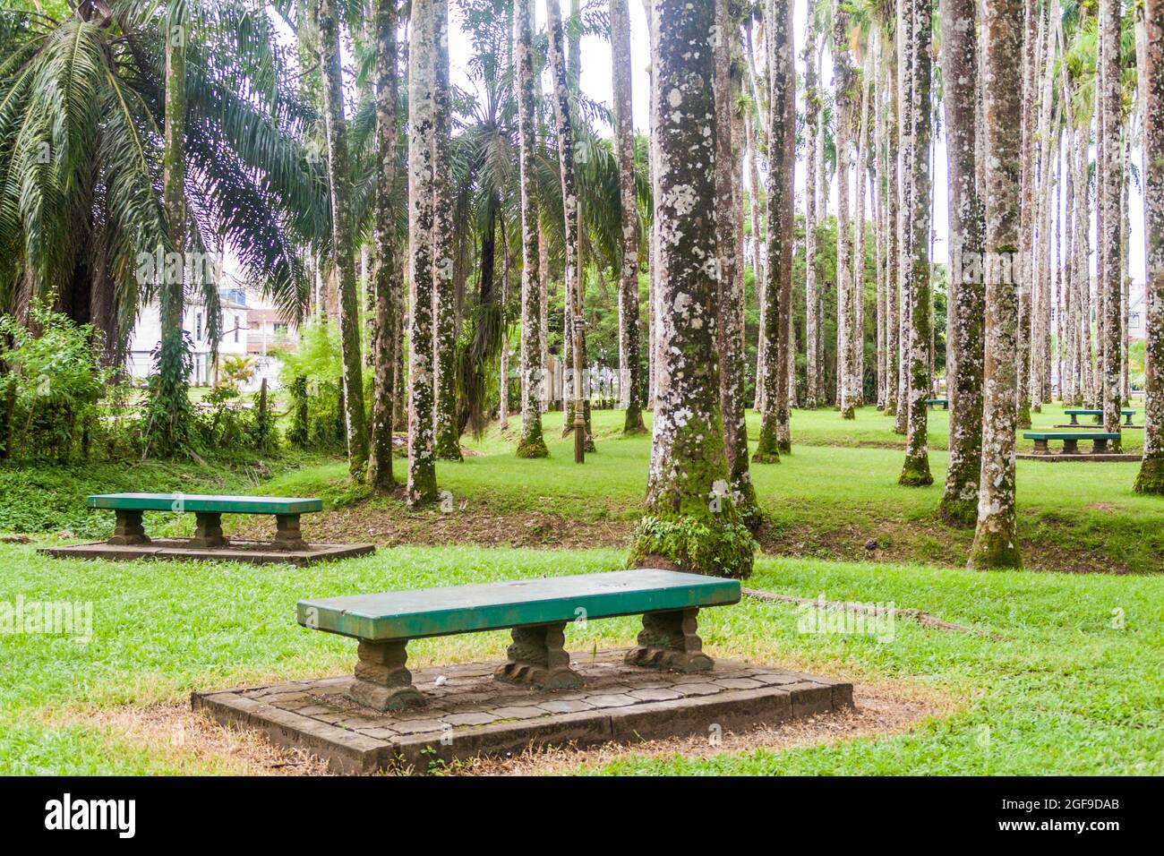 Palmentuin park in Paramaribo, capital of Suriname Stock Photo - Alamy