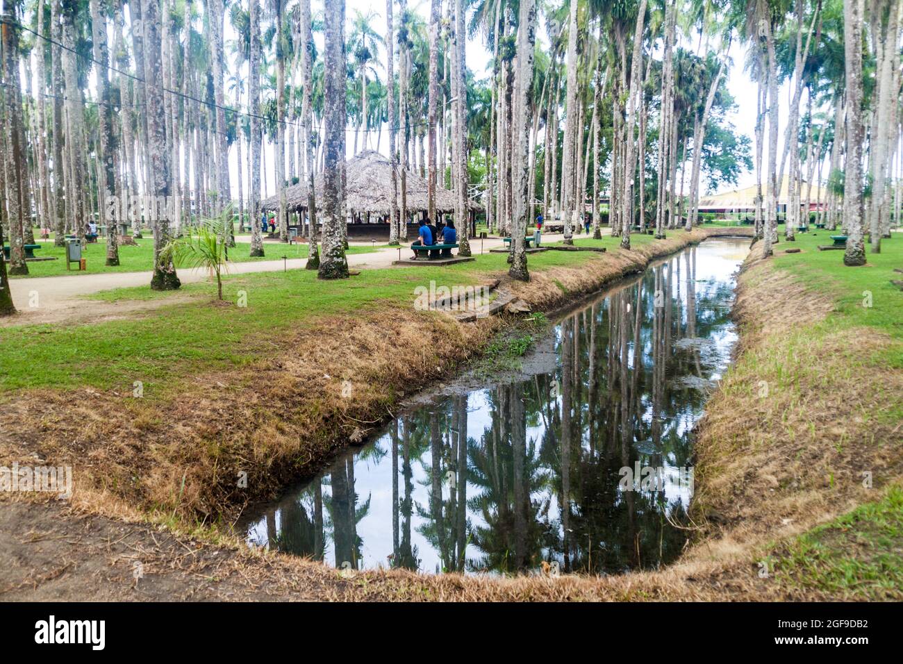 PARAMARIBO, SURINAME - AUGUST 5, 2015: Palmentuin park in Paramaribo ...