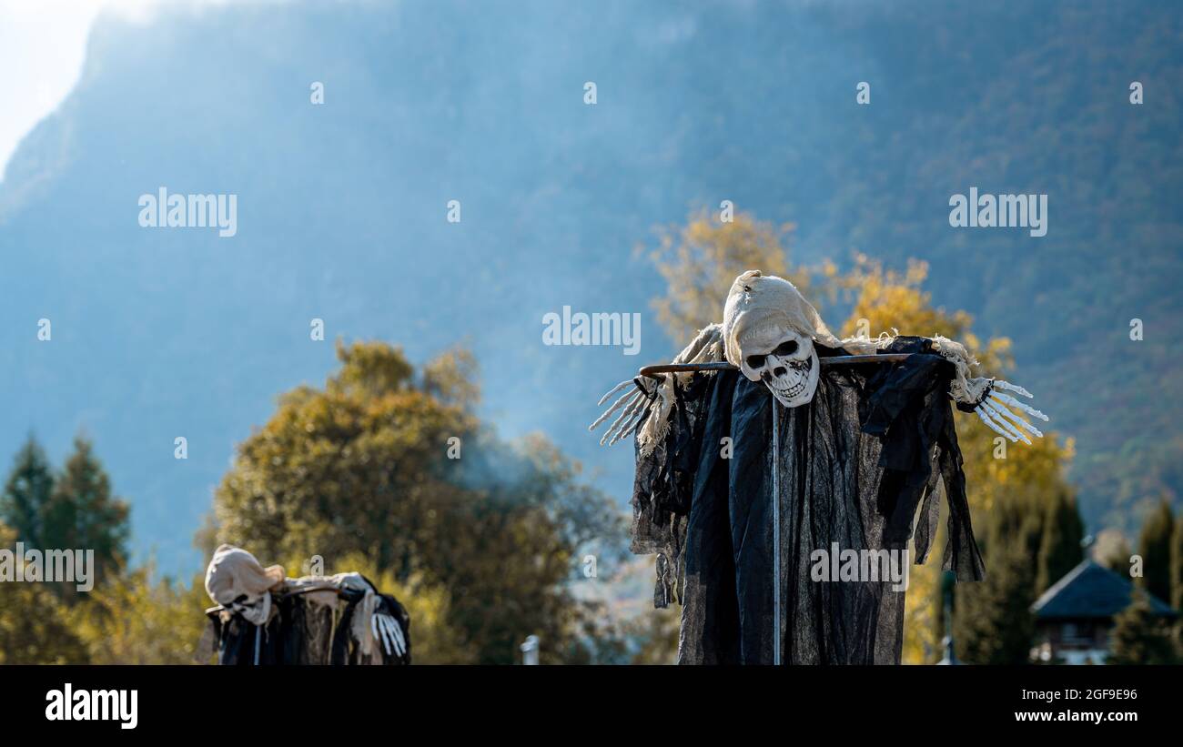 Human skeleton against blue sky and trees. Halloween decoration and ...