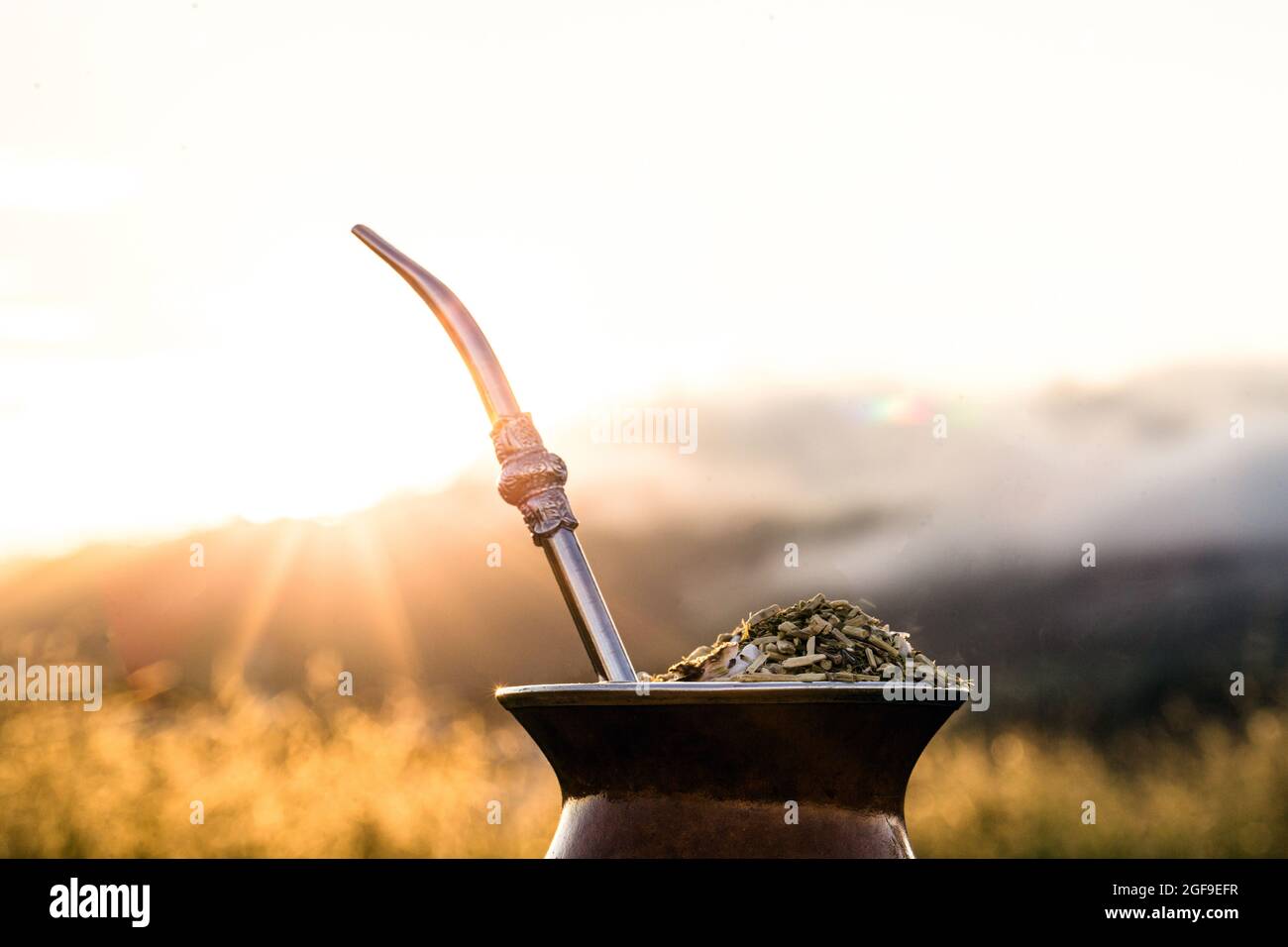 mate, mate drink served hot in winter with mountains in the background ...